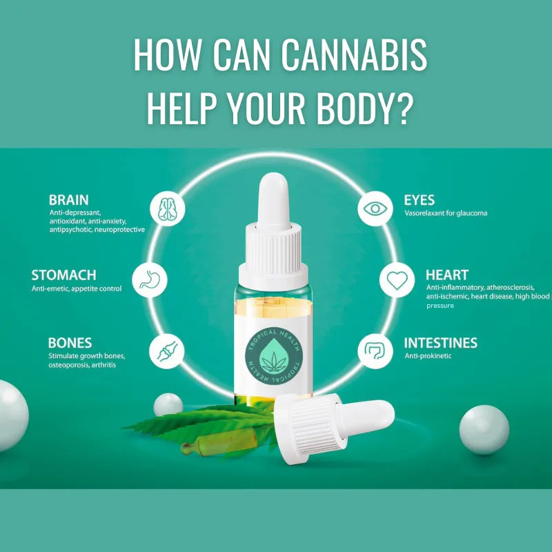 Tropical Health – Productos Naturales